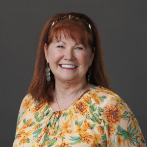 COUNTY CHAIRS - IDCCA